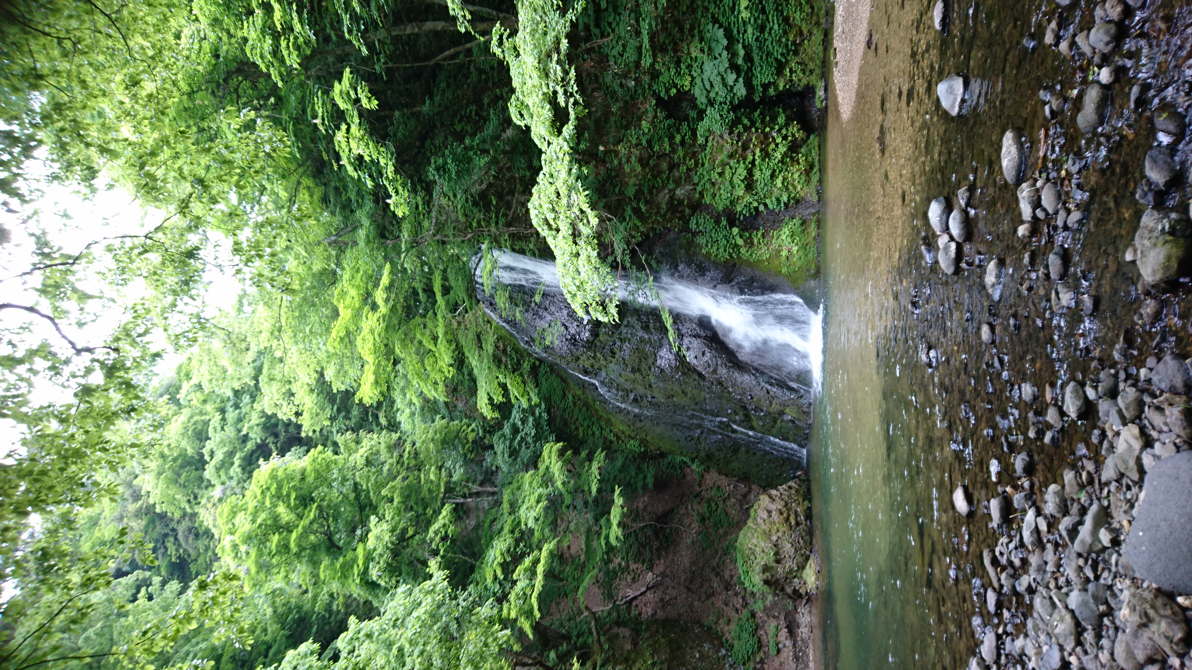 DSC_0928 | 白神屋